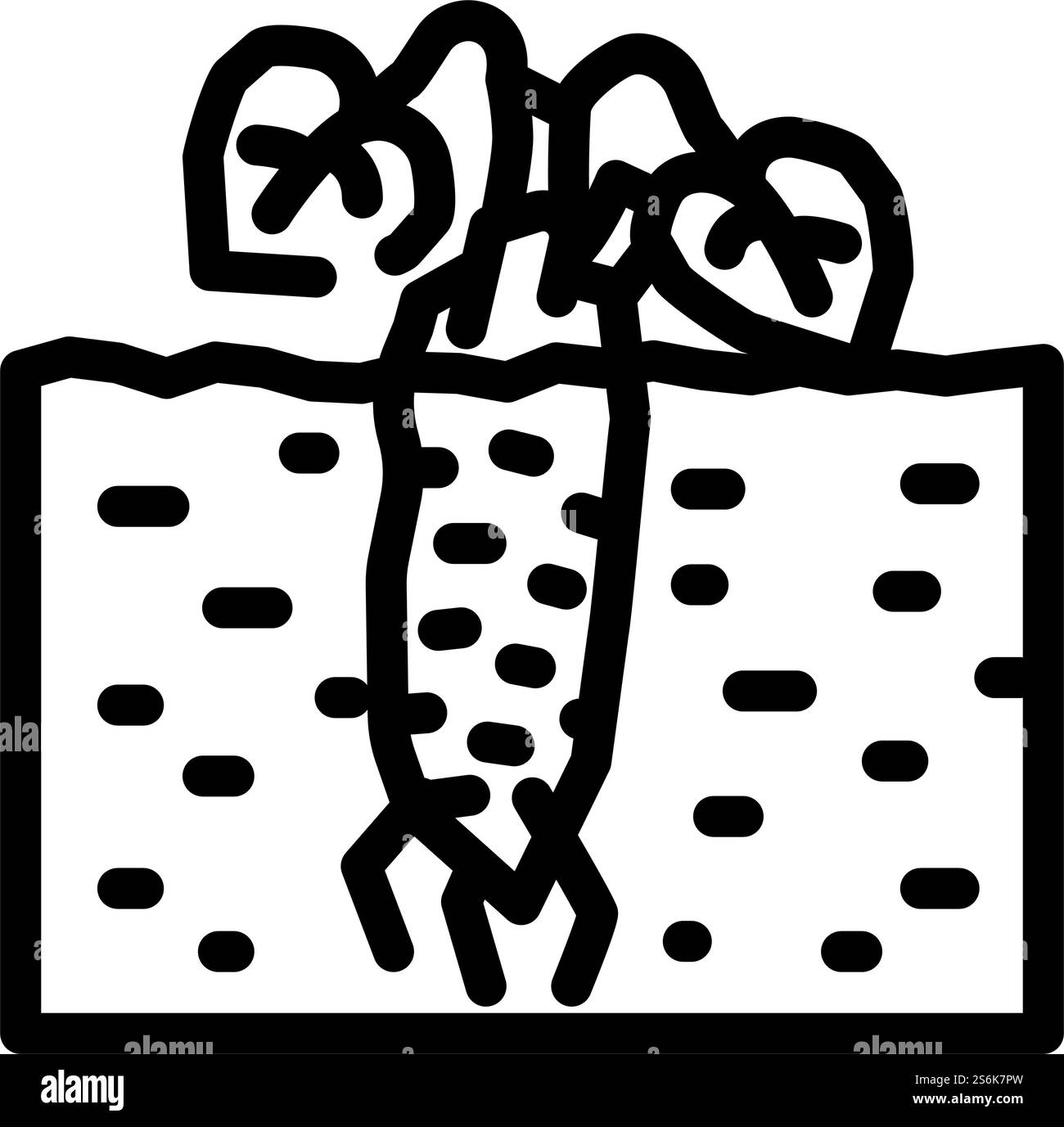 root plant wasabi line icon vector. root plant wasabi sign. isolated ...