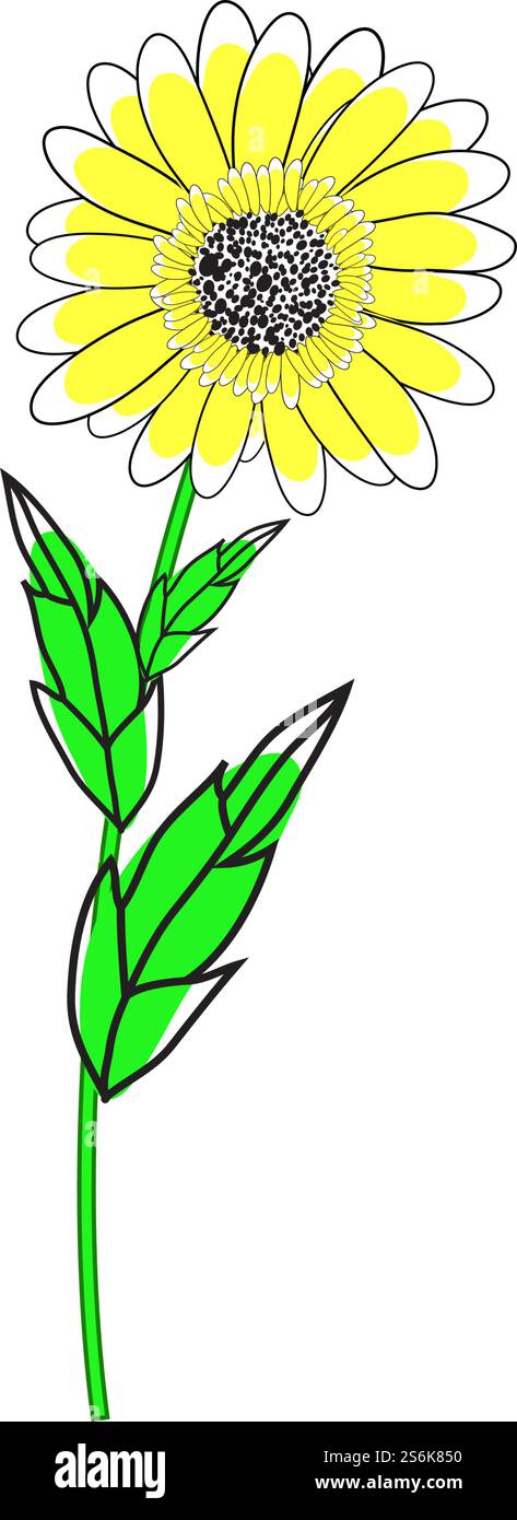 Doodle sketch sunflower with color fill. Simple design suitable for ...