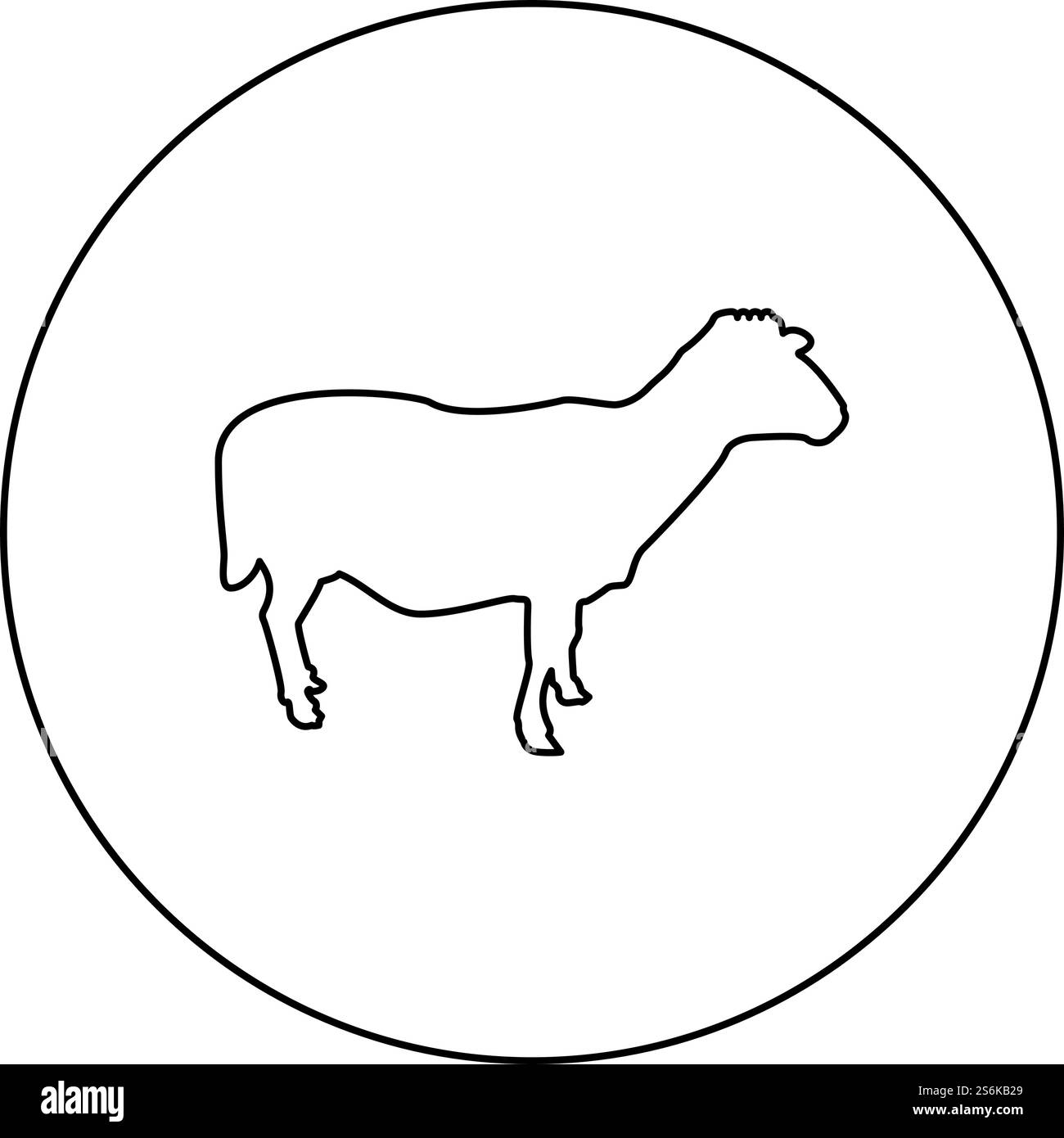 Sheep Ewe Domestic livestock Farm animal cloven hoofed Lamb cattle ...