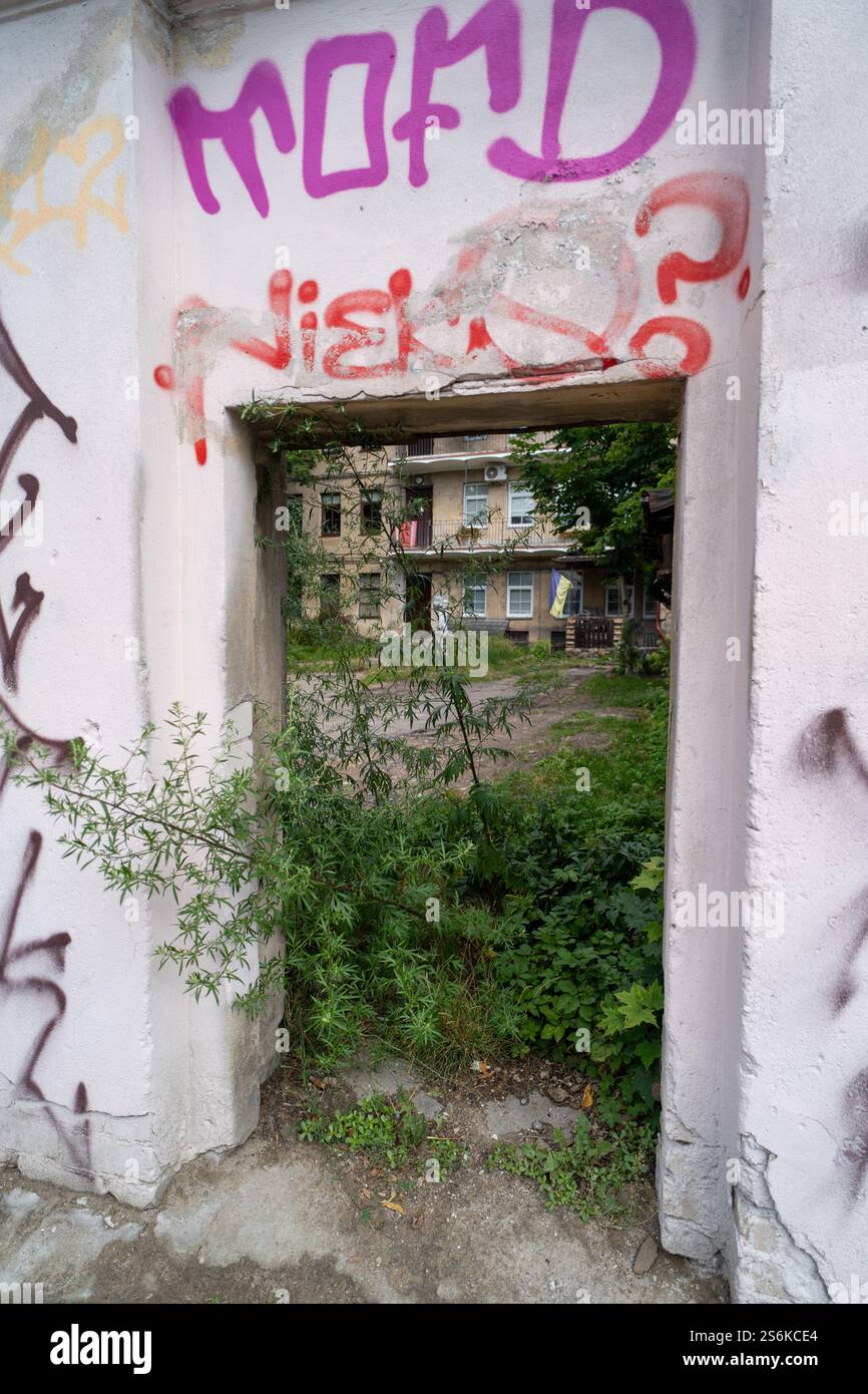 A vibrant graffiti-covered wall frames a view of an overgrown courtyard ...