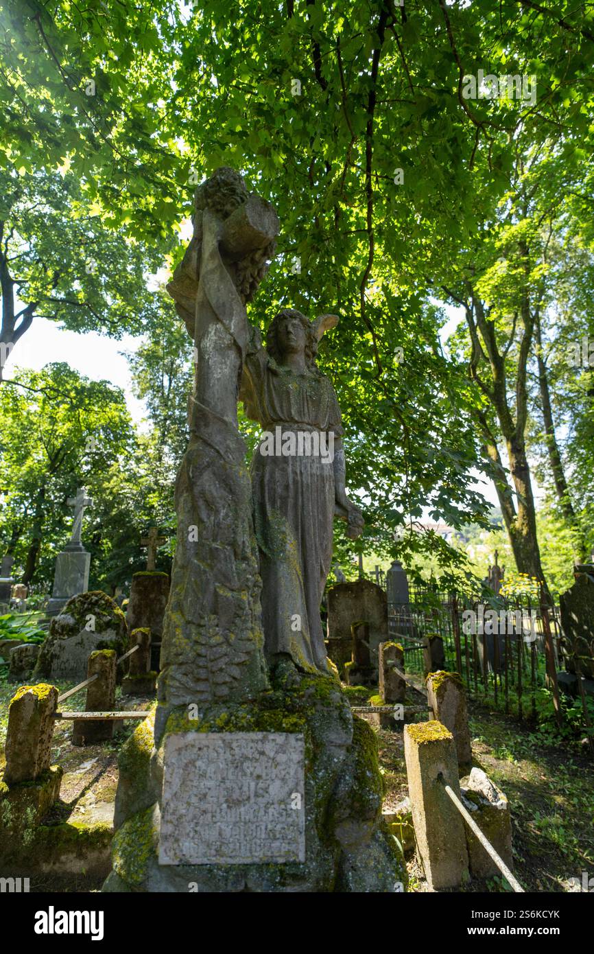 A moss-covered angel statue in an old cemetery surrounded by dense ...