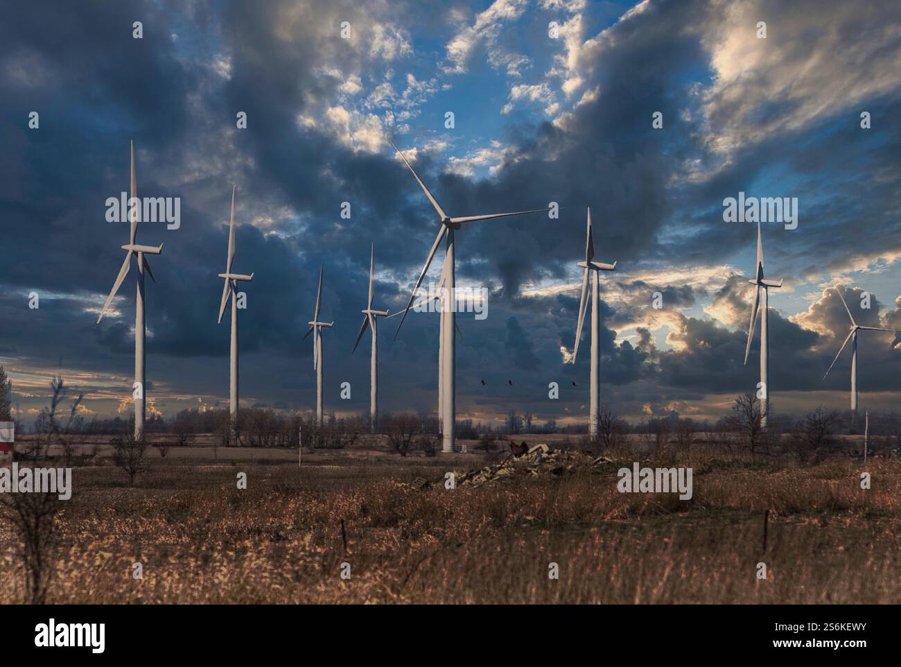 Canadian wind farm hi-res stock photography and images - Alamy