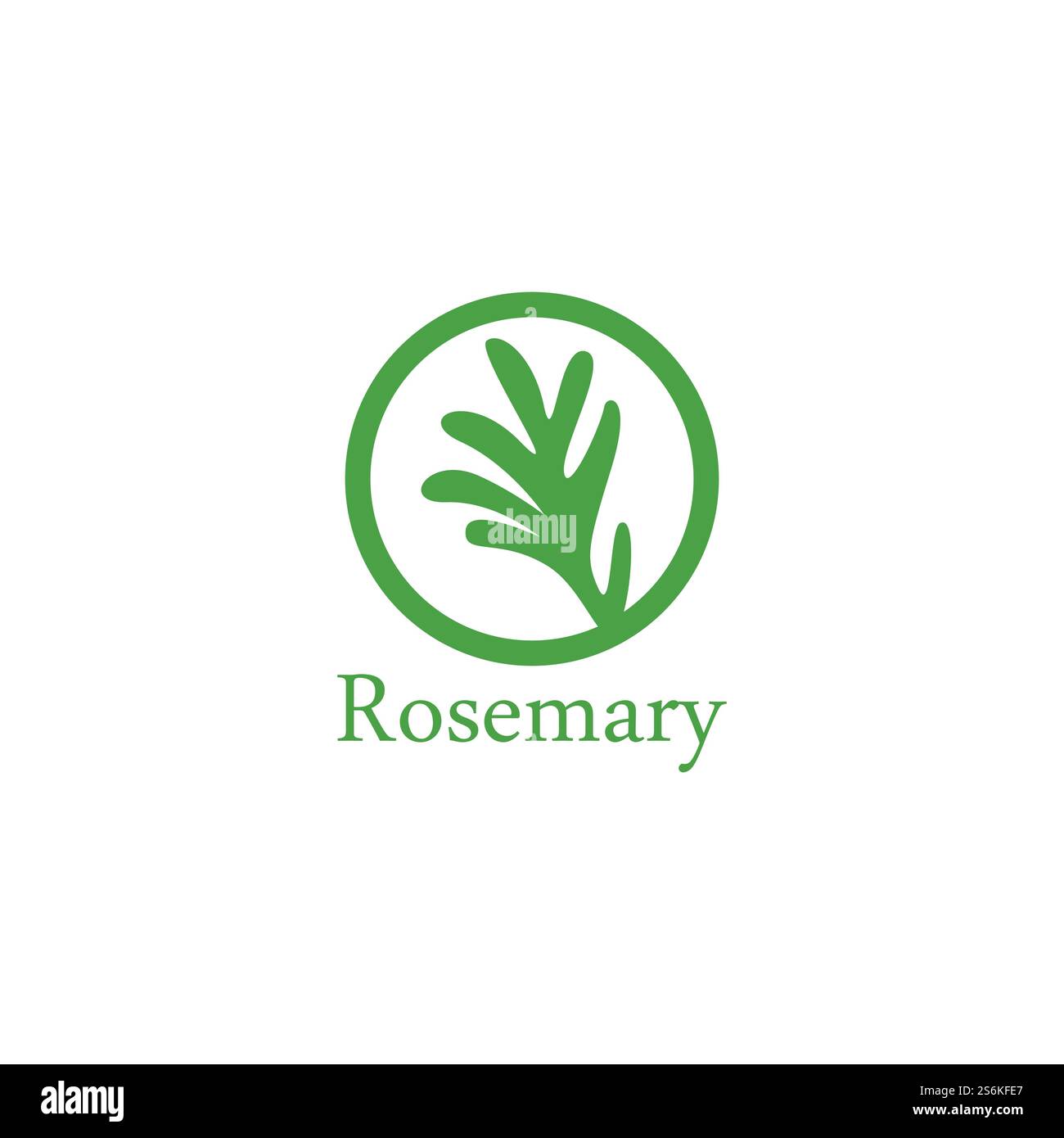 rosemary leaf vector logo illustration template Stock Vector Image ...
