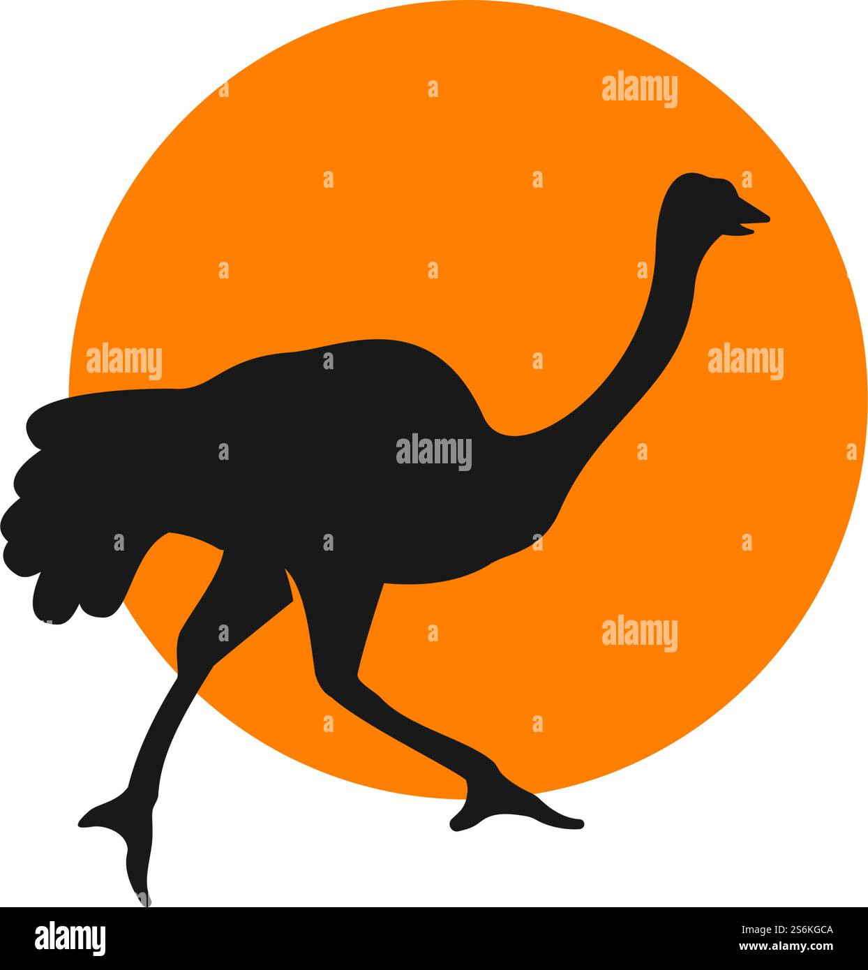 Ostrich illustration logo vector design Stock Vector Image & Art - Alamy