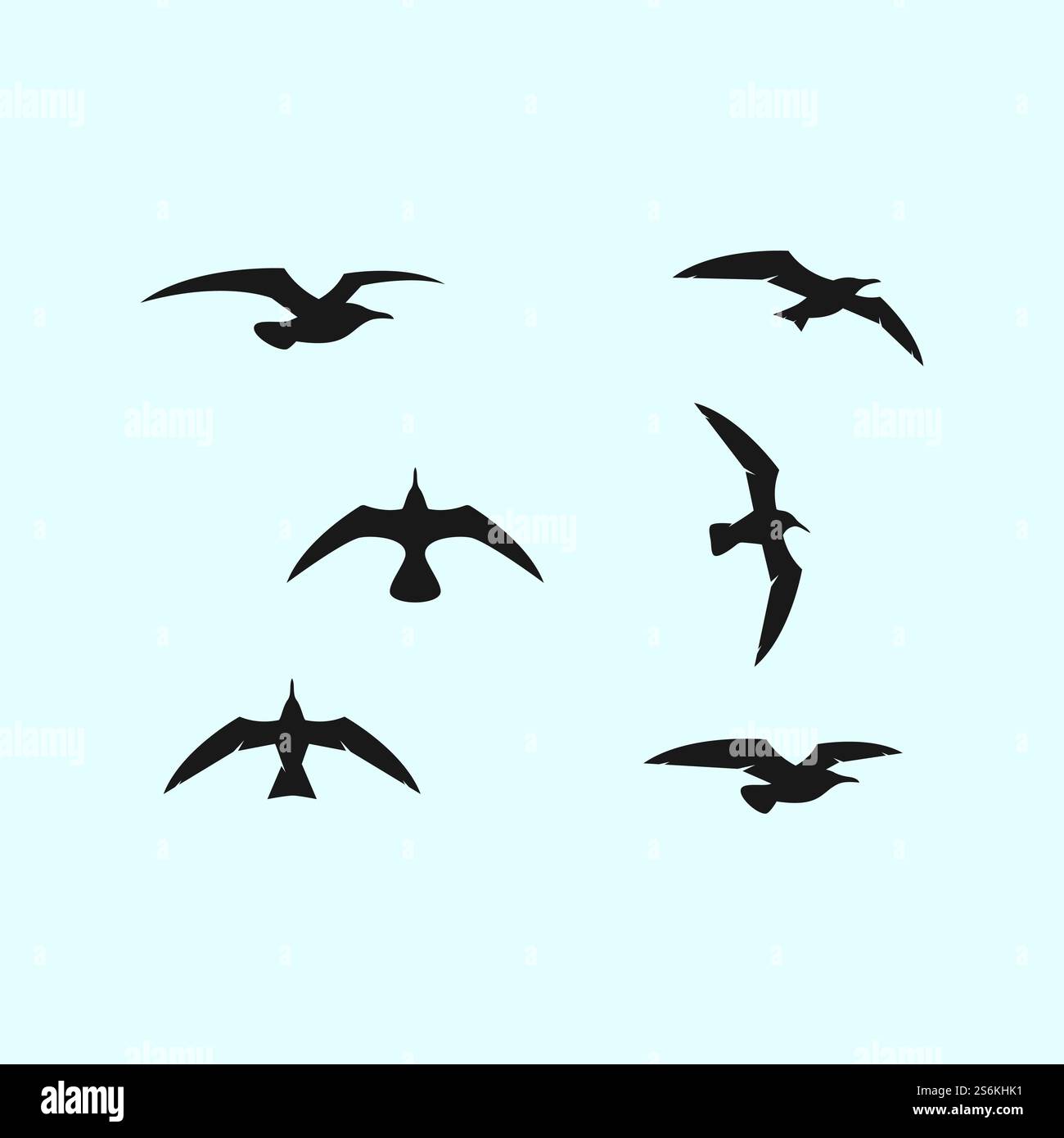 Seagul bird illustration vector design Stock Vector Image & Art - Alamy