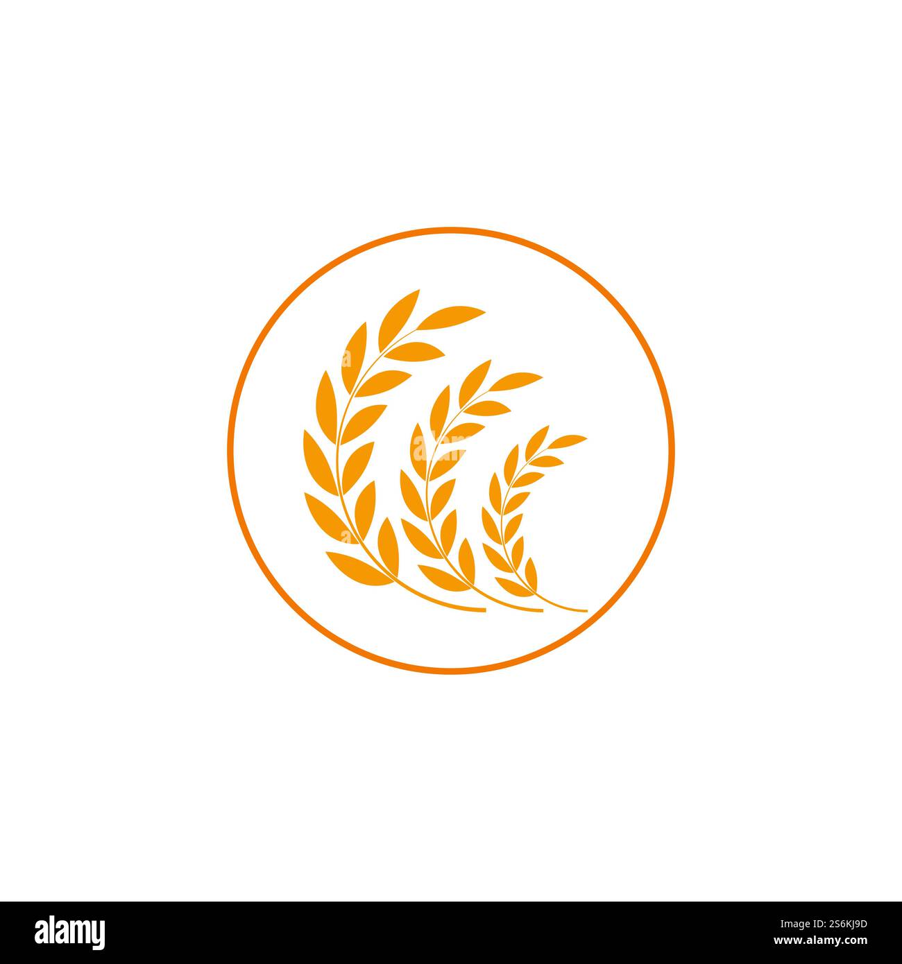 Luxury Golden Grain Weath / Rice Logo Design Vector Stock Vector Image ...