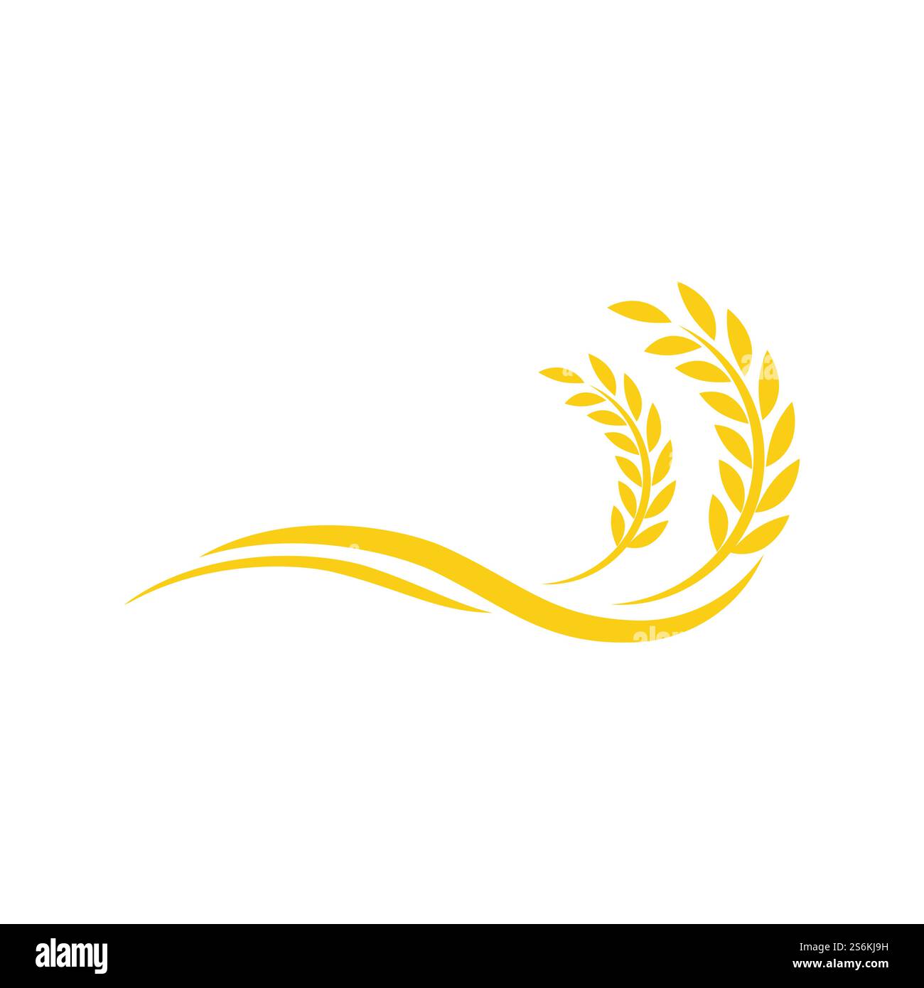 Luxury Golden Grain Weath / Rice Logo Design Vector Stock Vector Image ...
