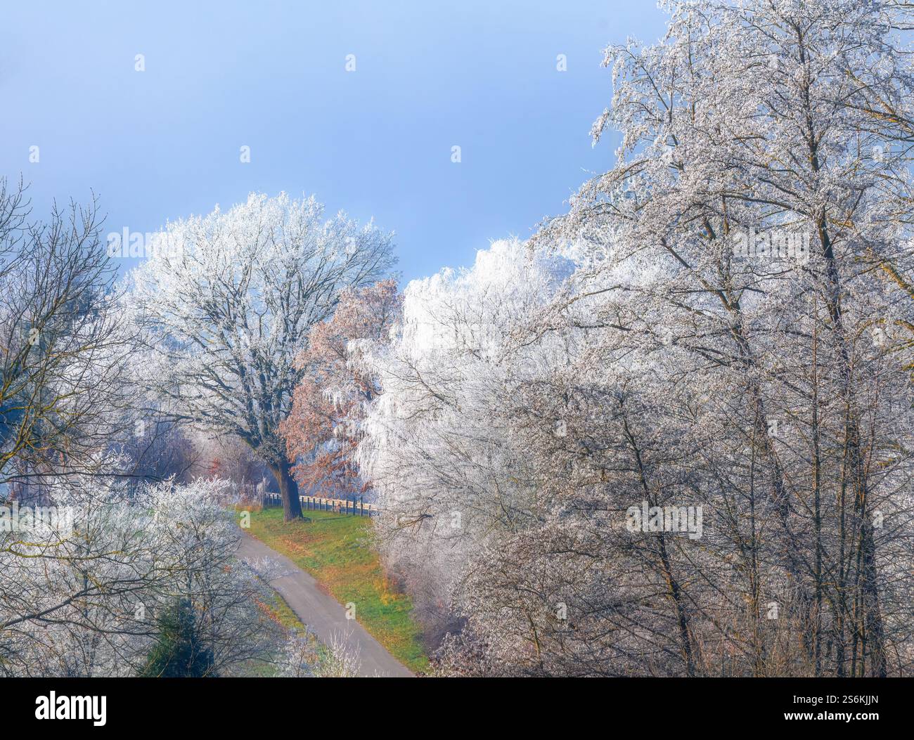 Bavarian winter landscape with frost covered trees seen in ...