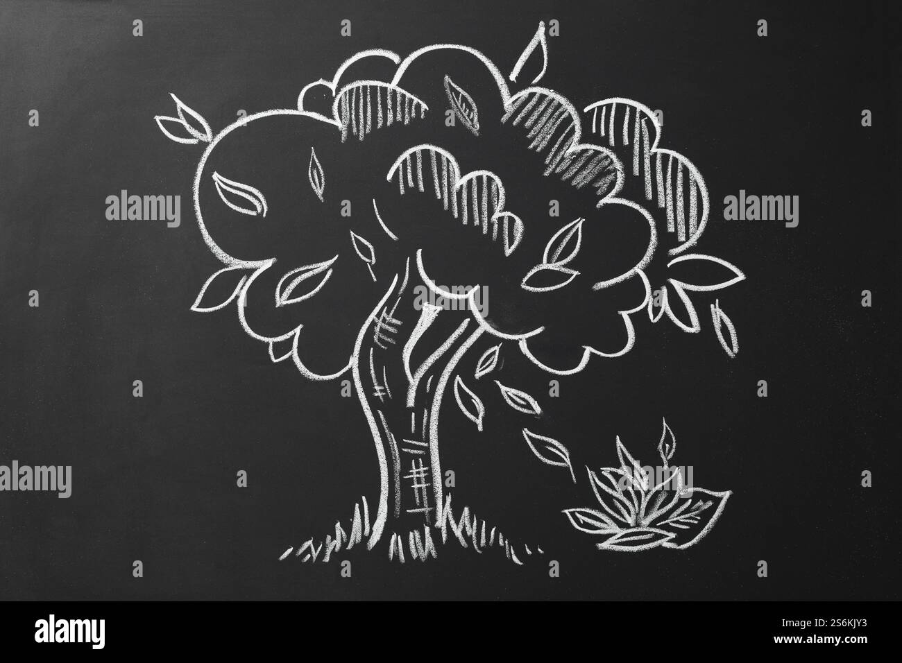 Beautiful drawing of tree on black chalkboard Stock Photo - Alamy