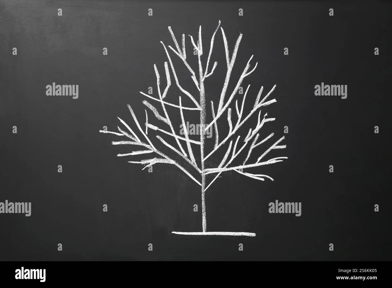 Beautiful drawing of tree on black chalkboard Stock Photo - Alamy