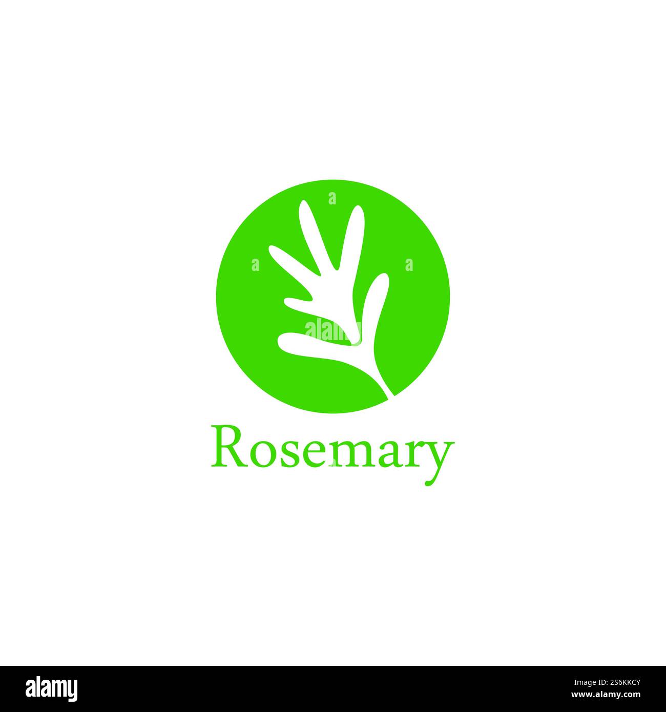 rosemary leaf vector logo illustration template Stock Vector Image ...