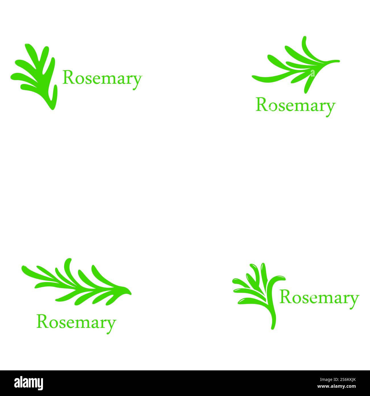 rosemary leaf vector logo illustration template Stock Vector Image ...