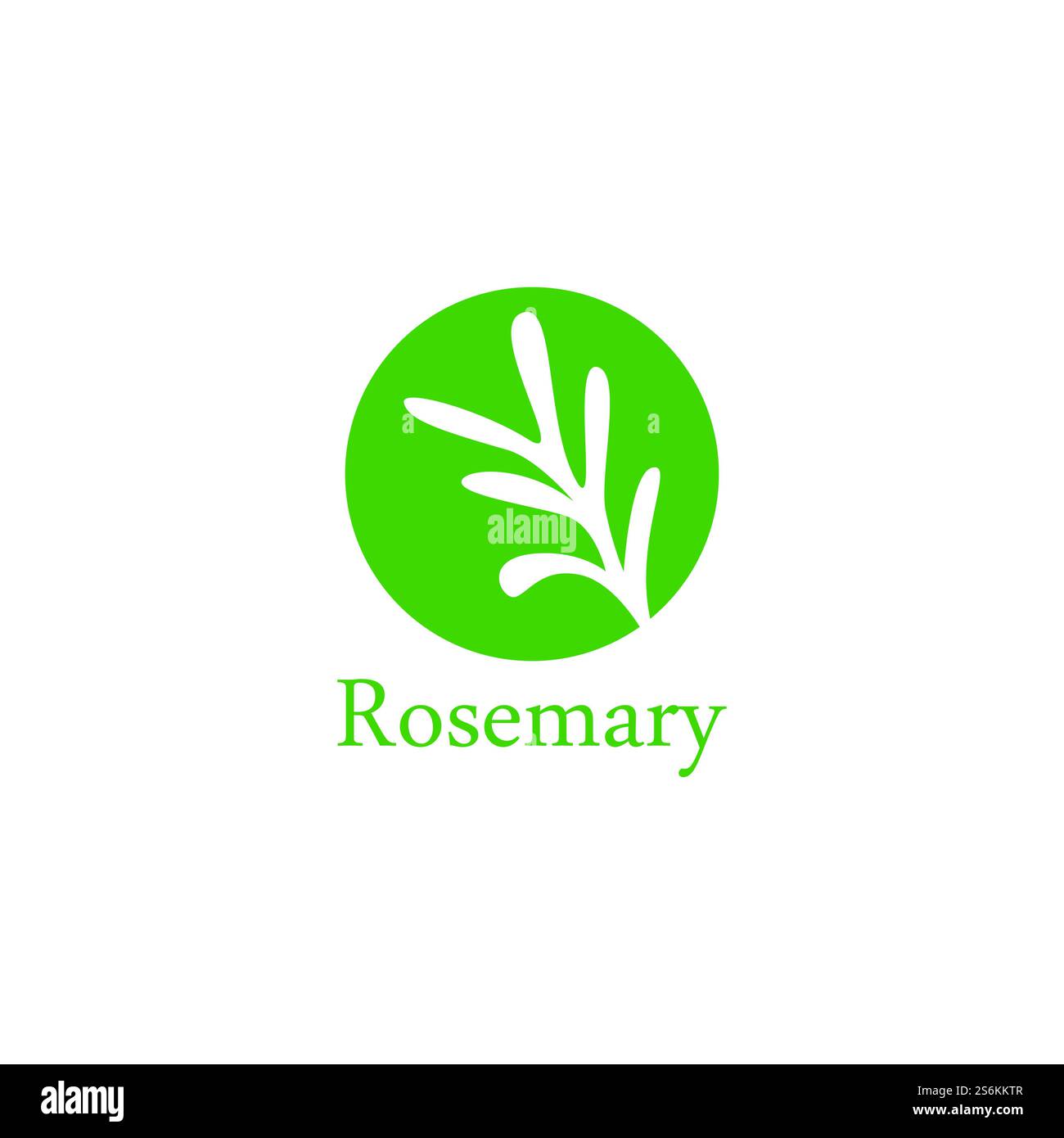 rosemary leaf vector logo illustration template Stock Vector Image ...