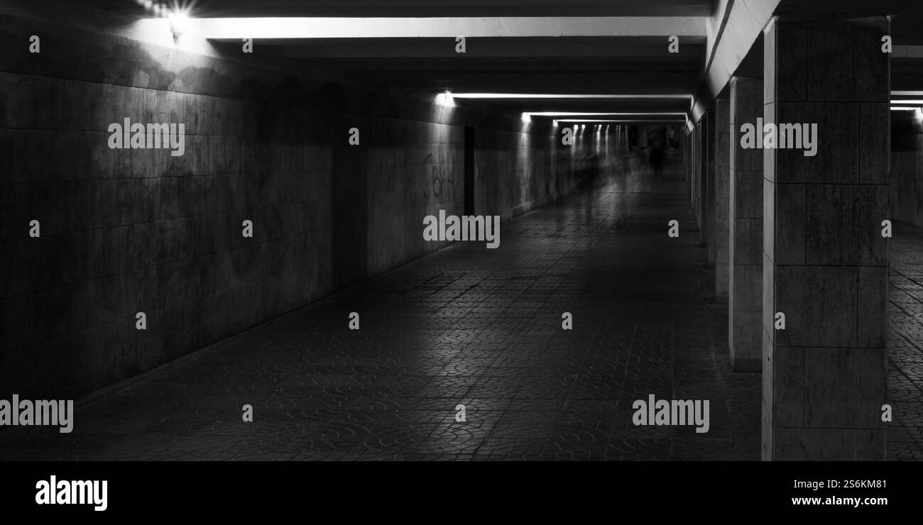 A Mysterious Underground Passageway Presented in Monochrome with ...