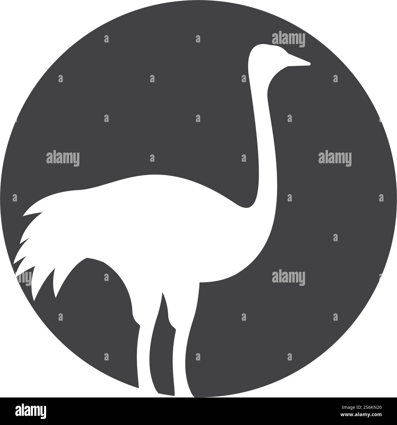 Ostrich illustration logo vector design Stock Vector Image & Art - Alamy