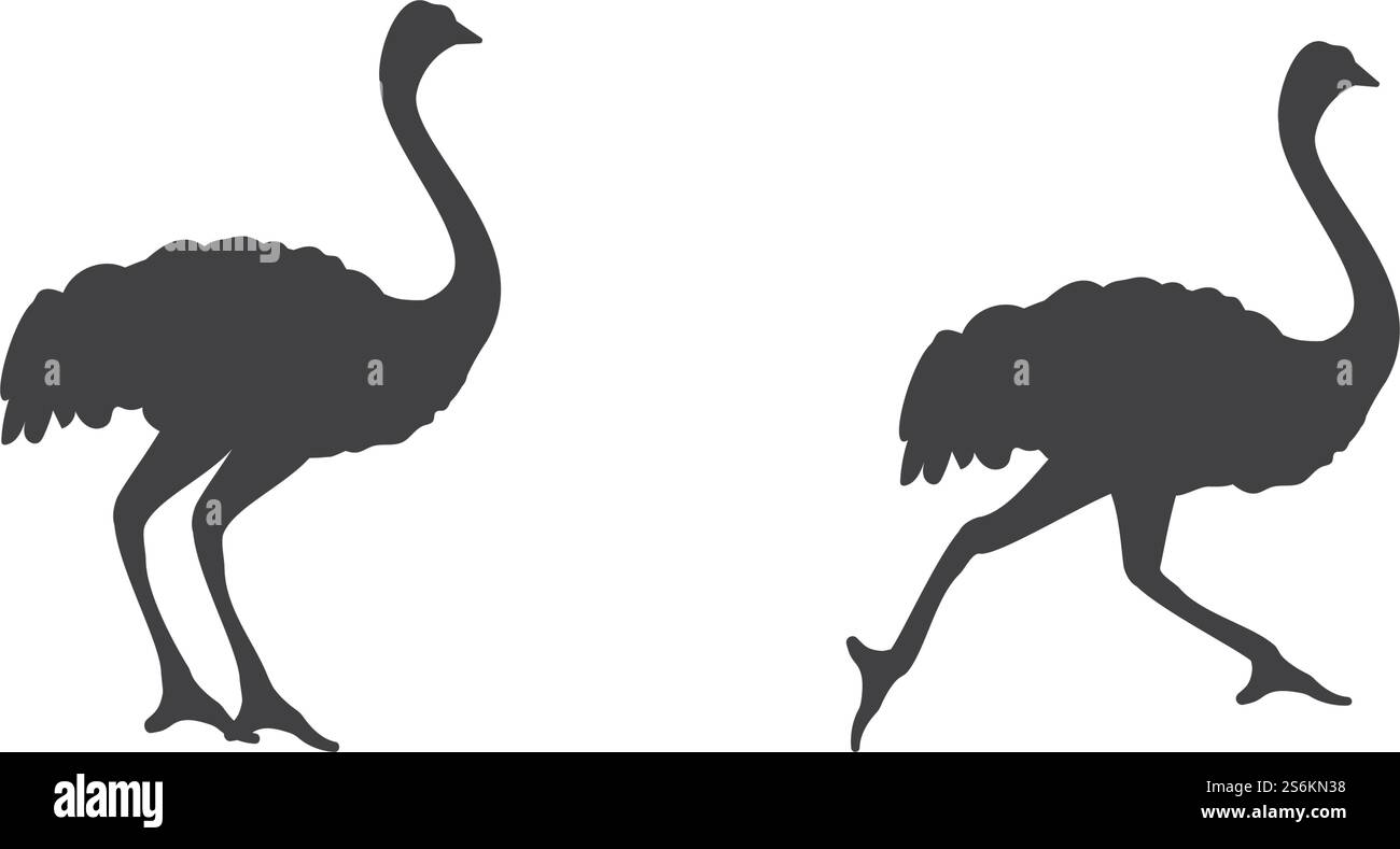 Ostrich illustration logo vector design Stock Vector Image & Art - Alamy
