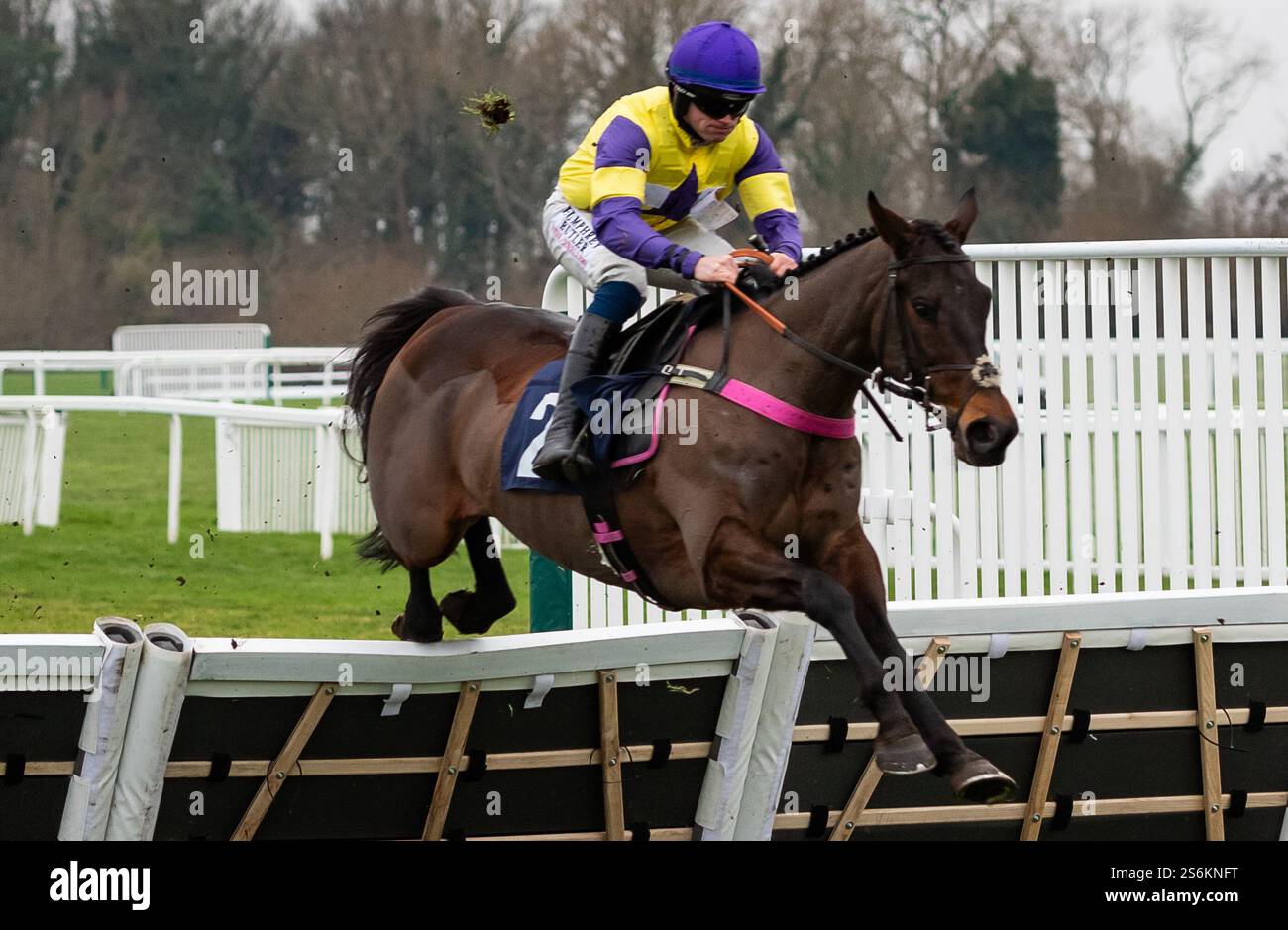 Cheltenham festival 2025 hi-res stock photography and images - Alamy
