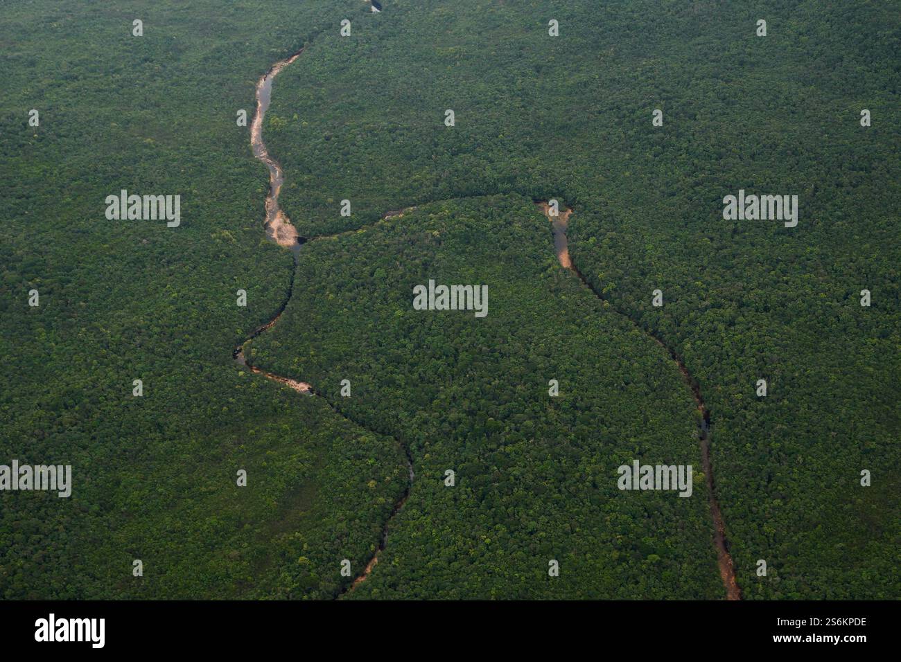 The Churun River flows through Canaima National Park, Venezuela ...