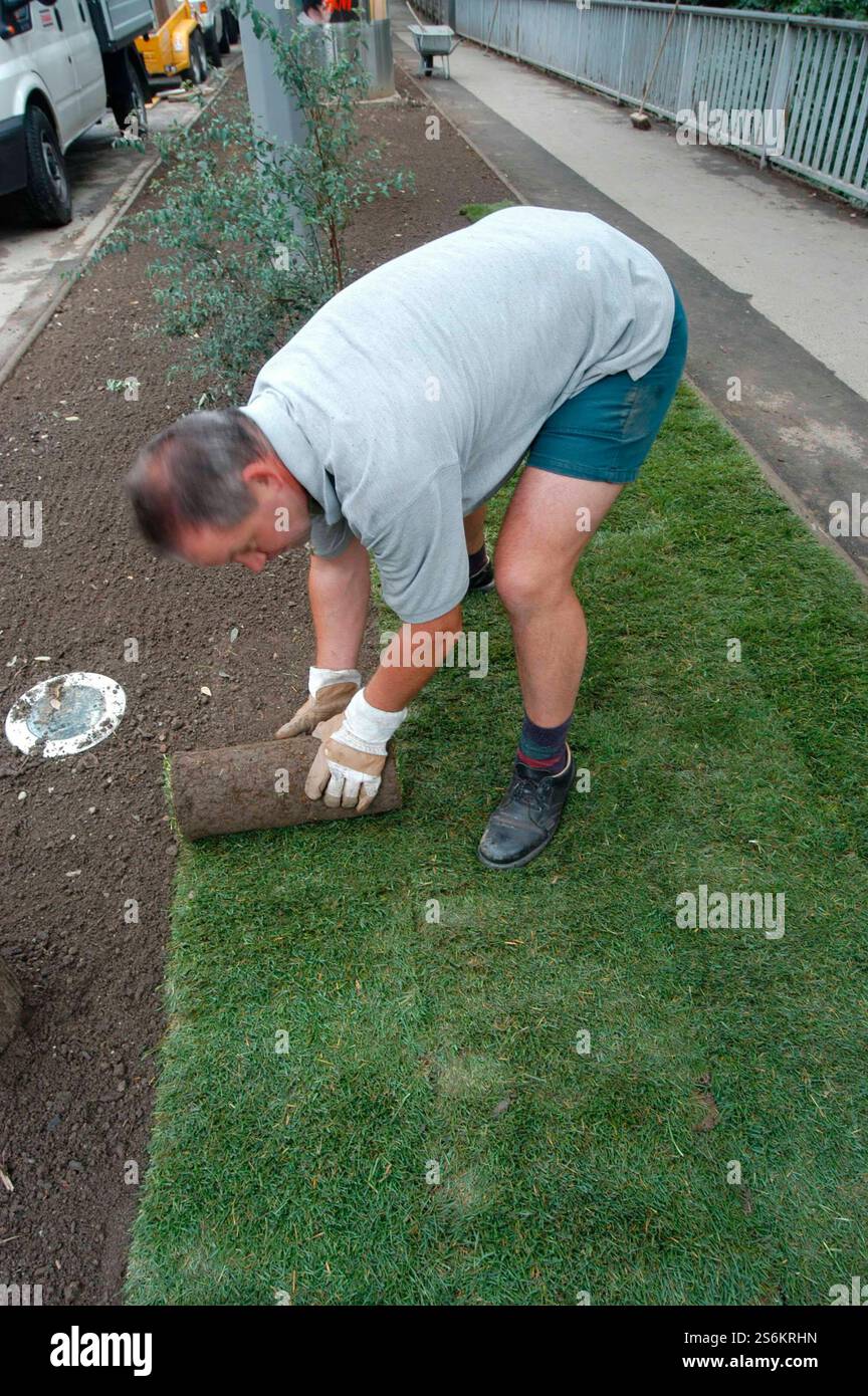 the lawn most basic in garden design and living architecture the lawn ...