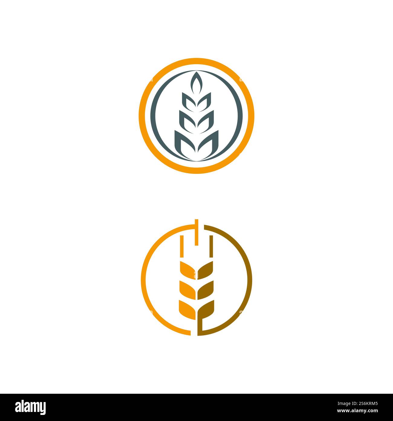 Luxury Golden Grain Weath / Rice Logo Design Vector Stock Vector Image ...