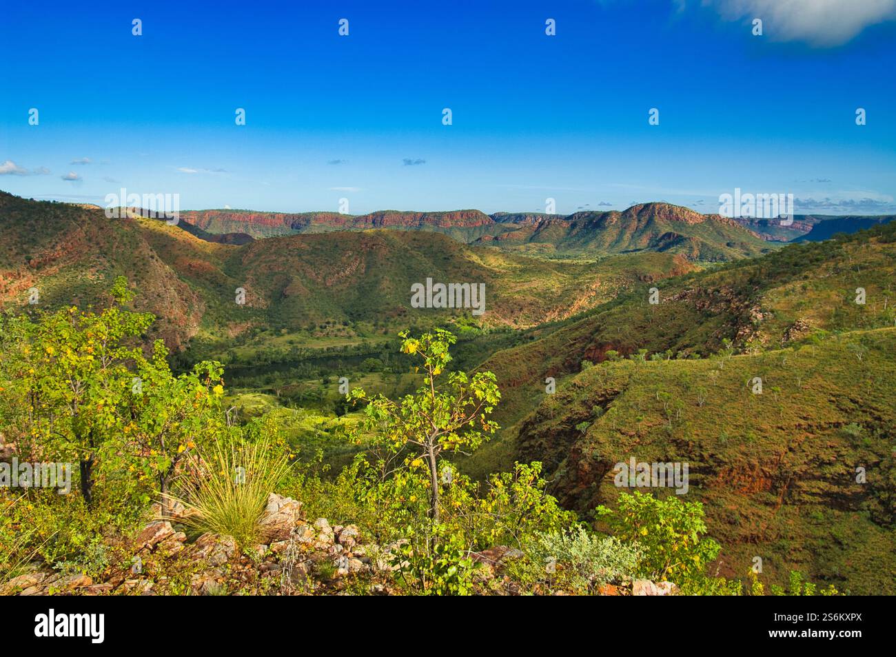 Savanna outback landscape with red hills at the valley of the Ord River ...