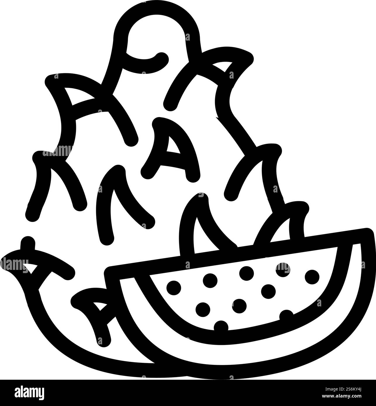 dragon fruit line icon vector. dragon fruit sign. isolated contour ...