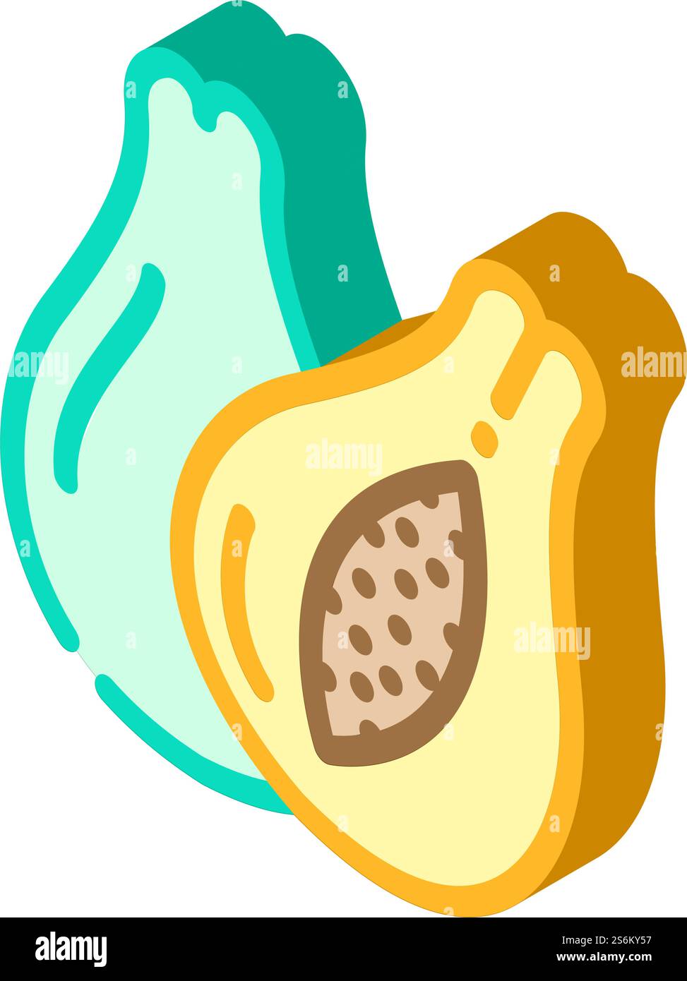 papayas fruit isometric icon vector. papayas fruit sign. isolated ...