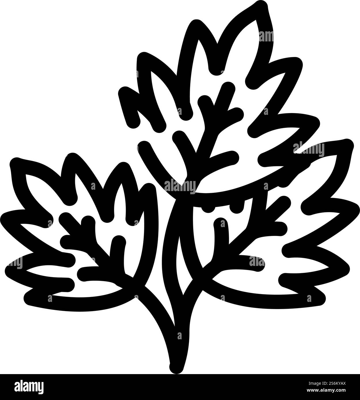 parsley leaves line icon vector. parsley leaves sign. isolated contour ...