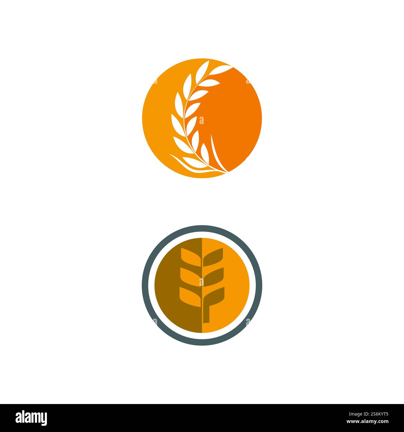 Luxury Golden Grain Weath / Rice Logo Design Vector Stock Vector Image ...