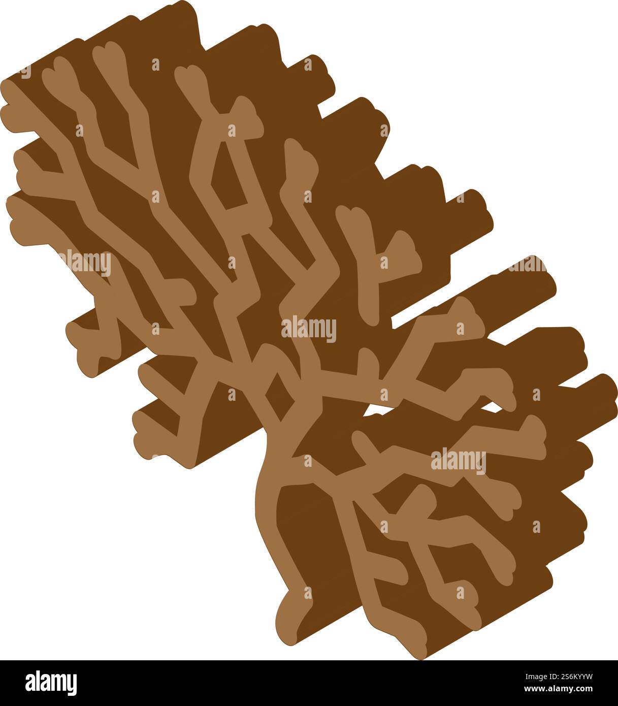 irish moss seaweed isometric icon vector. irish moss seaweed sign ...