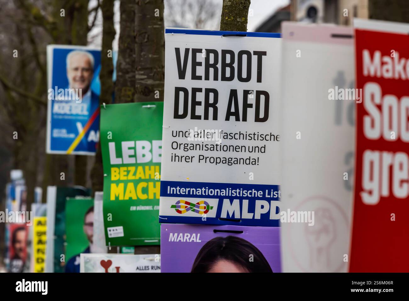 Wahlplakate zur Bundestagswahl 2025 in Heilbronn. BTW25. Die Partei ...