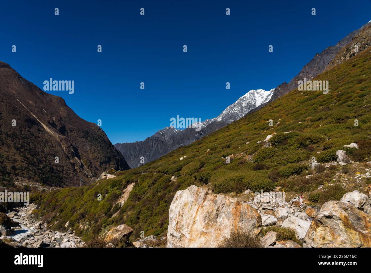 Himalayan Mountain Langtang Village to Kyanjin Ri trekking with ...