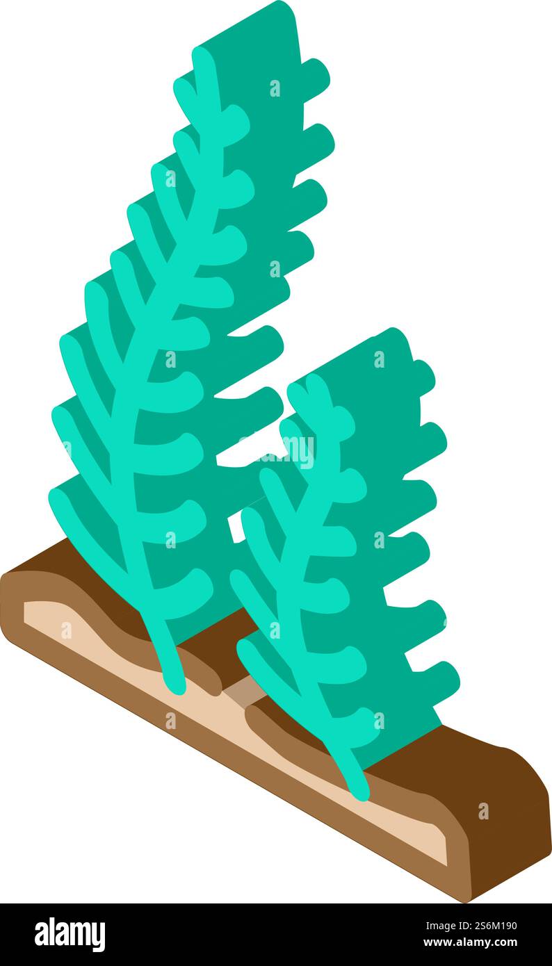 caulerpa taxifolia seaweed isometric icon vector. caulerpa taxifolia ...