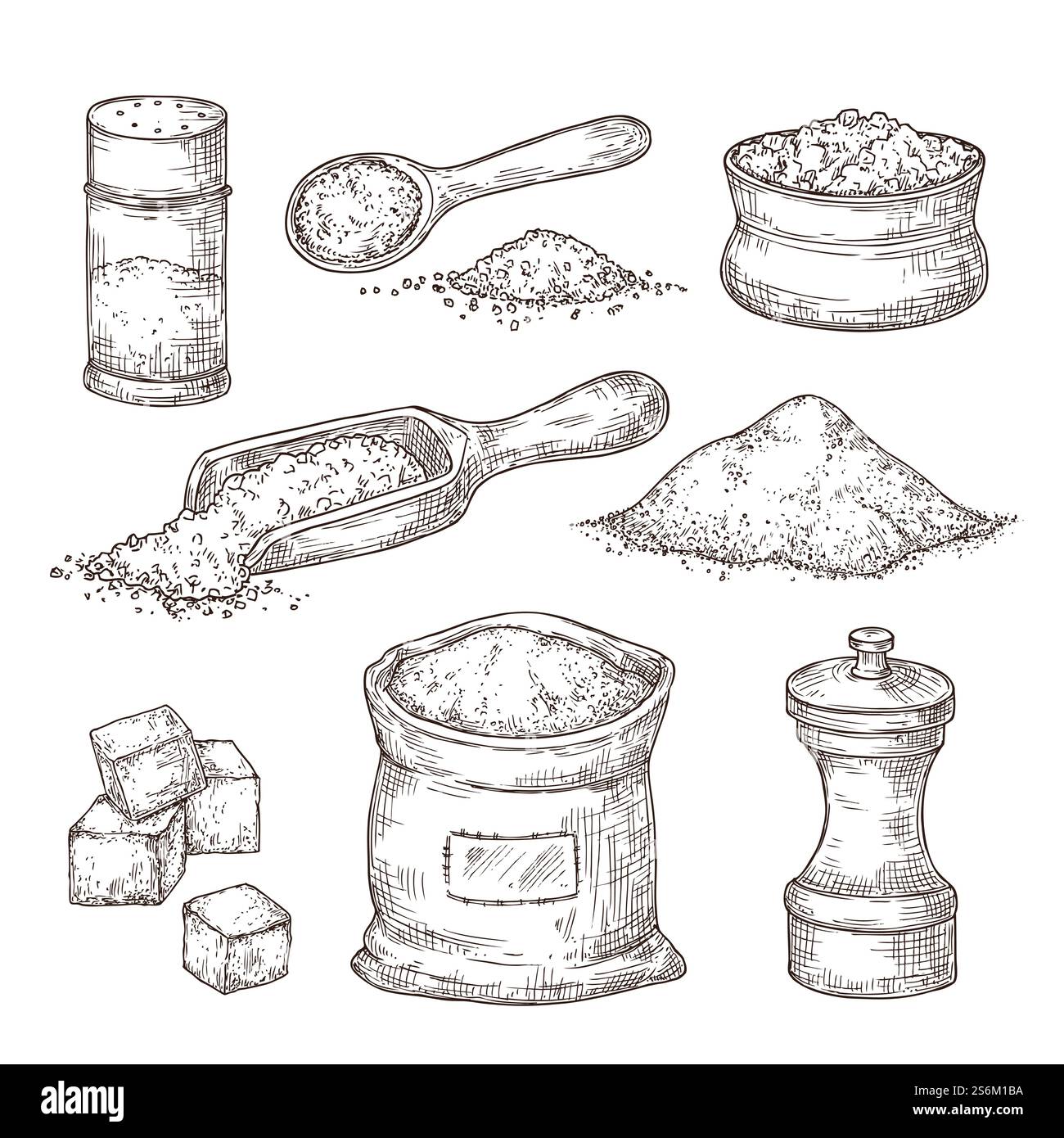 Salt sketch. Hand draw spice, vintage bowl spoon with sea salt powder ...