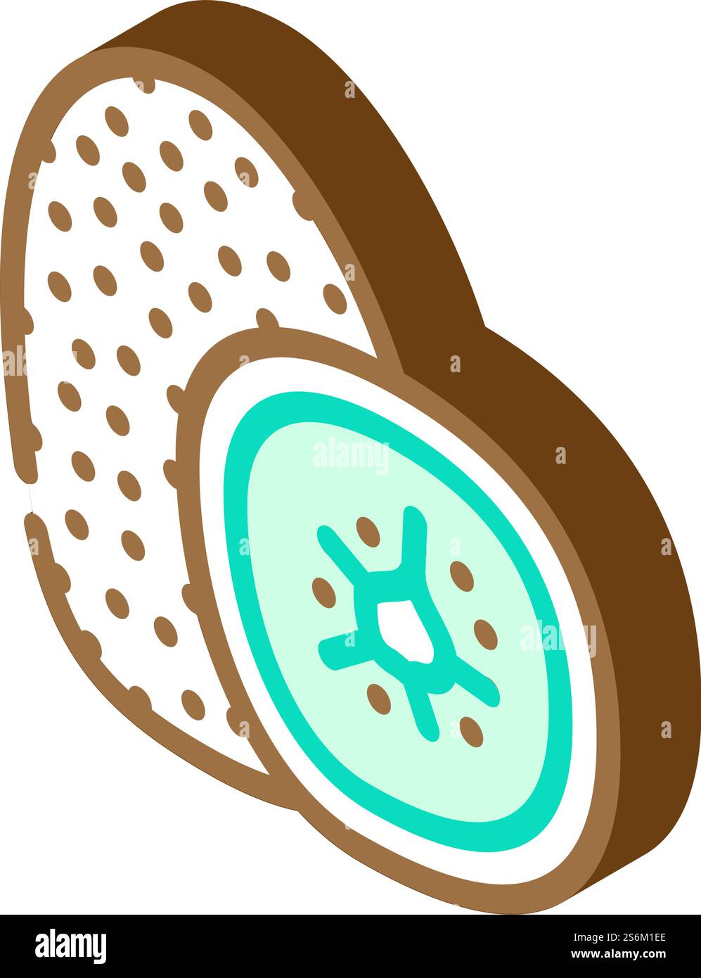 kiwi fruit isometric icon vector. kiwi fruit sign. isolated symbol ...
