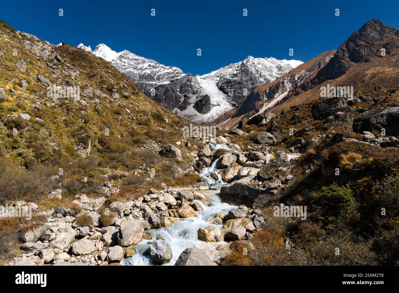 Himalayan Mountain Langtang Village to Kyanjin Ri trekking with ...