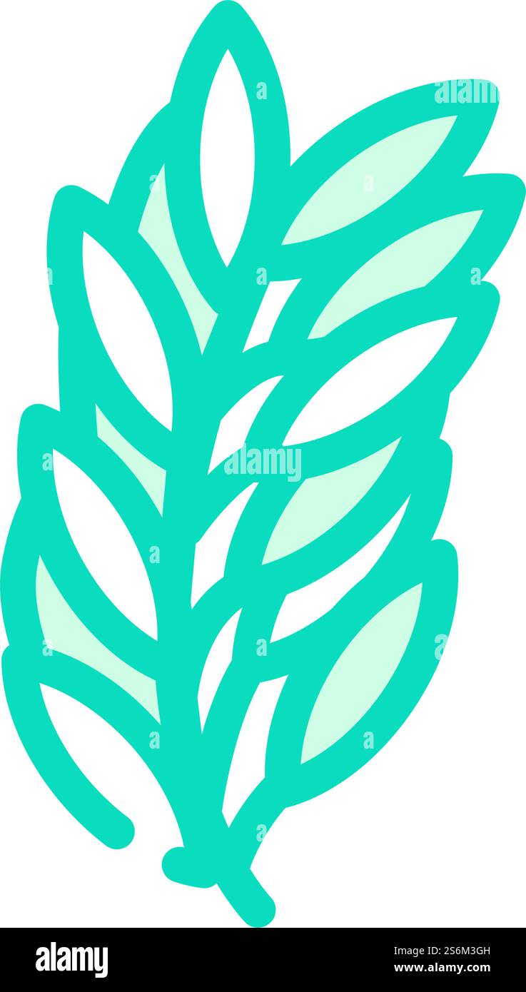 rosemary leaves color icon vector. rosemary leaves sign. isolated ...
