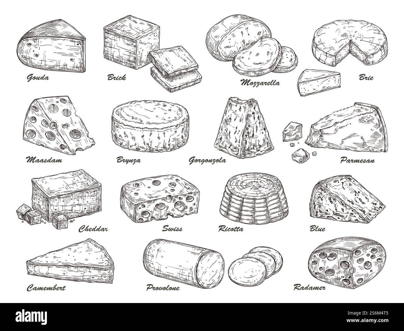 Sketch cheese. Hand drawn product, holland tasty dairy cuisine food ...