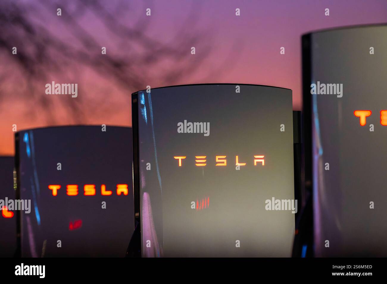 16.01.2025, Bernau am Chiemsee, Felden Bayern, Die US-Firma Tesla hat ...