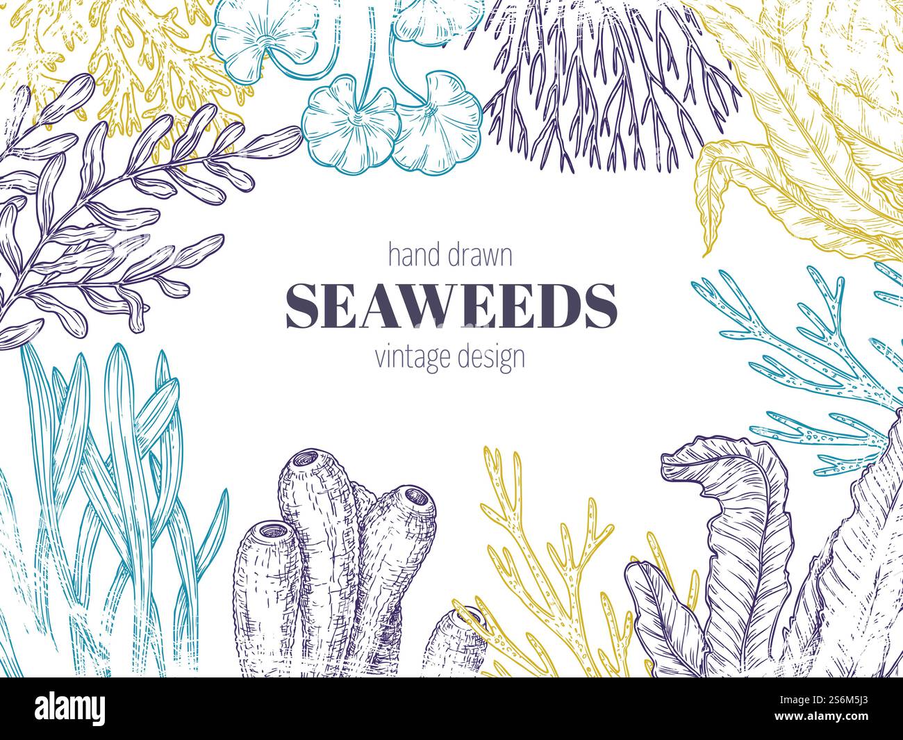 Seaweed background. Natural coral, seaweeds art sketching. Abstract sea flora, ocean reefs ...