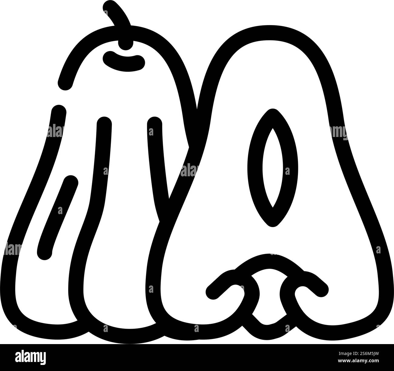 rose apple fruit line icon vector. rose apple fruit sign. isolated ...