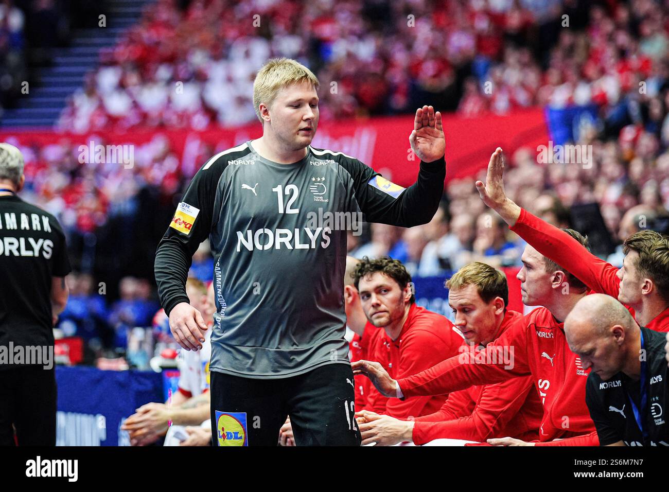 Emil Nielsen (Daenemark, #12) DEN, Tunesien vs. Daenemark, Handball ...