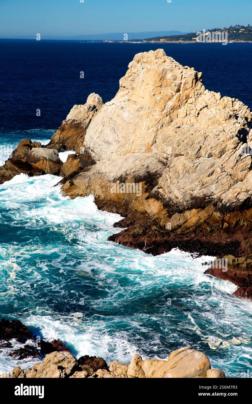 The Pinnacle view from Allan Memorial Grove Trail, Point Lobos State ...