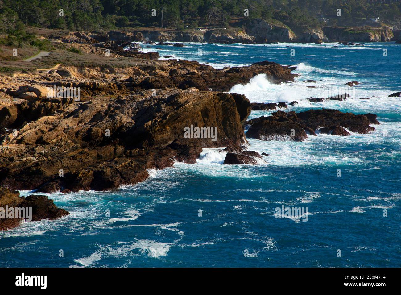 Coast view from Sea Lion Point Trail, Point Lobos State Reserve, Big ...
