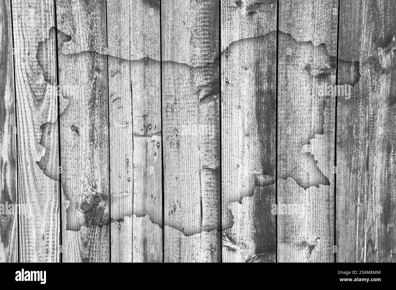 Bulgaria symbol Black and White Stock Photos & Images - Alamy