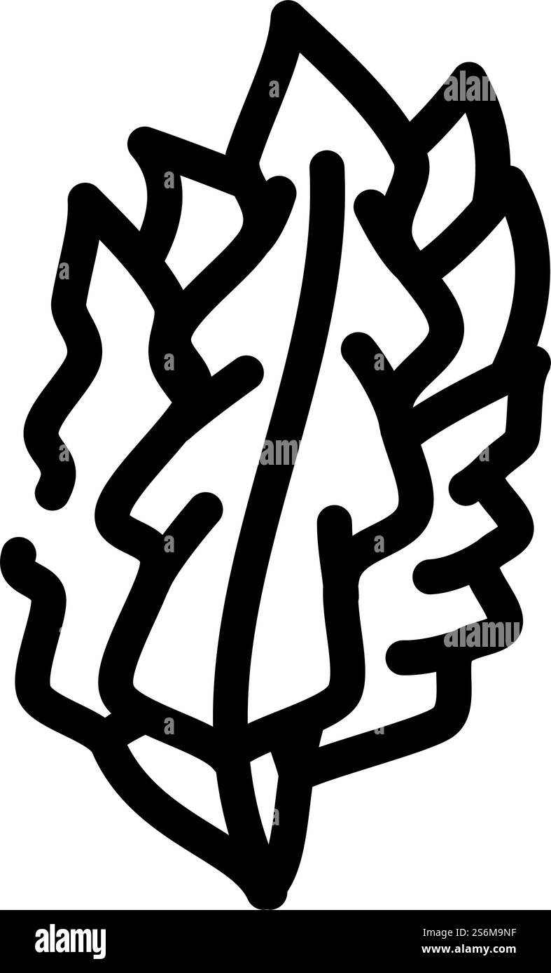japanese kelp seaweed line icon vector. japanese kelp seaweed sign ...