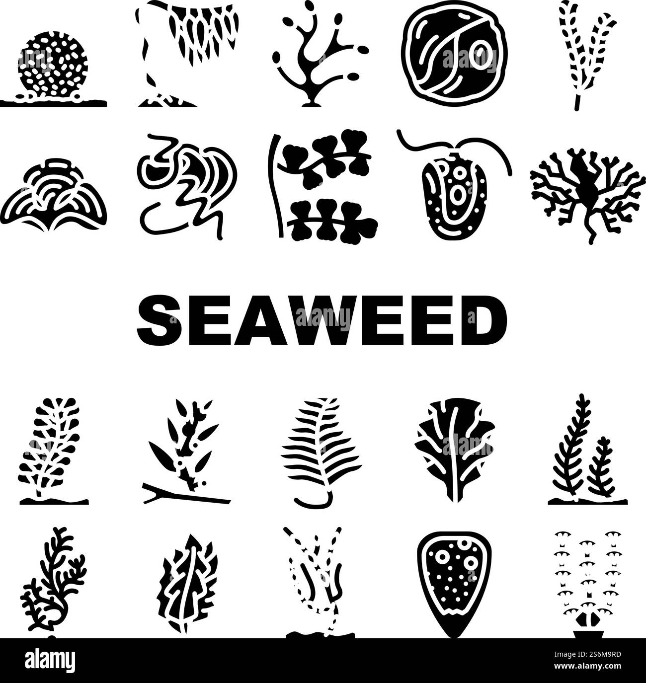 Seaweed Sea Underwater Plant Icons Set Vector. Padina And Japanese Kelp ...