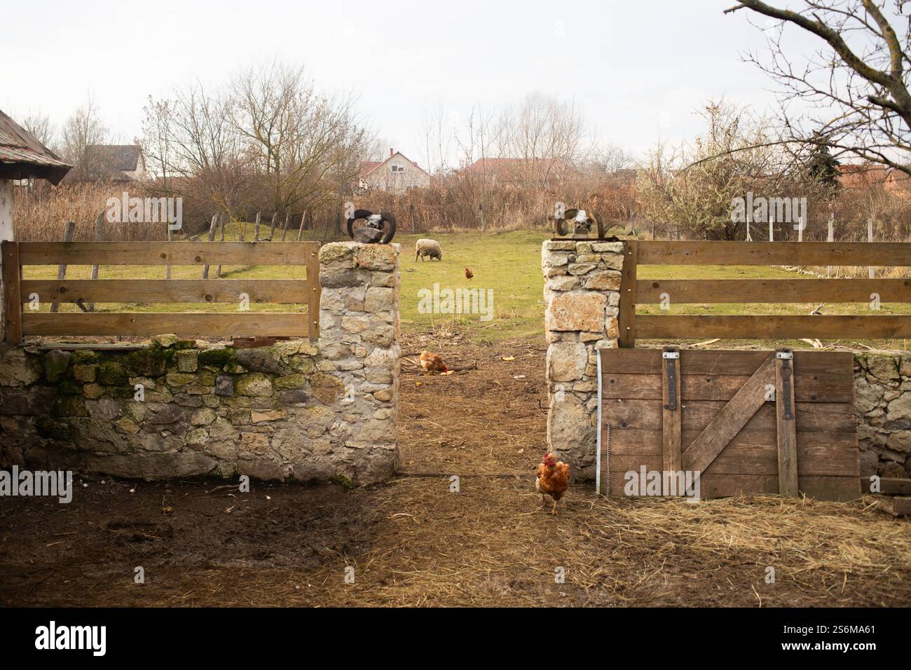 Farm food icon cartoon hi-res stock photography and images - Alamy