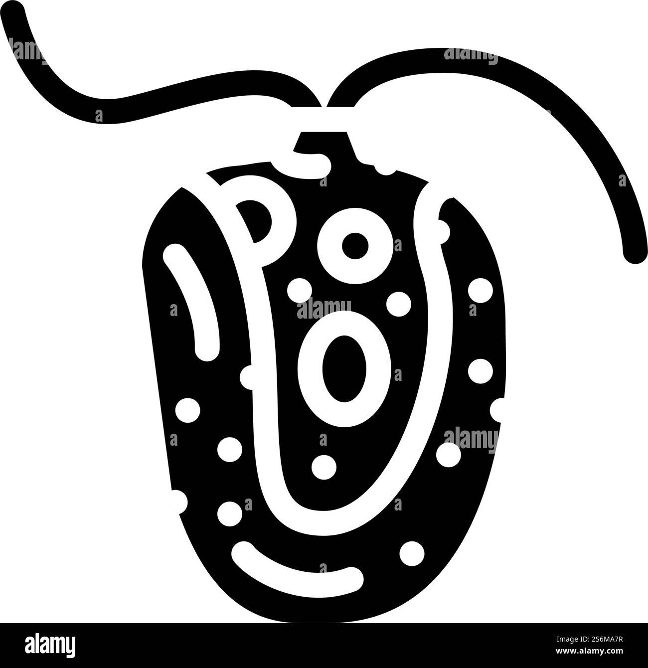chlamydomonas reinhardtii seaweed glyph icon vector. chlamydomonas ...