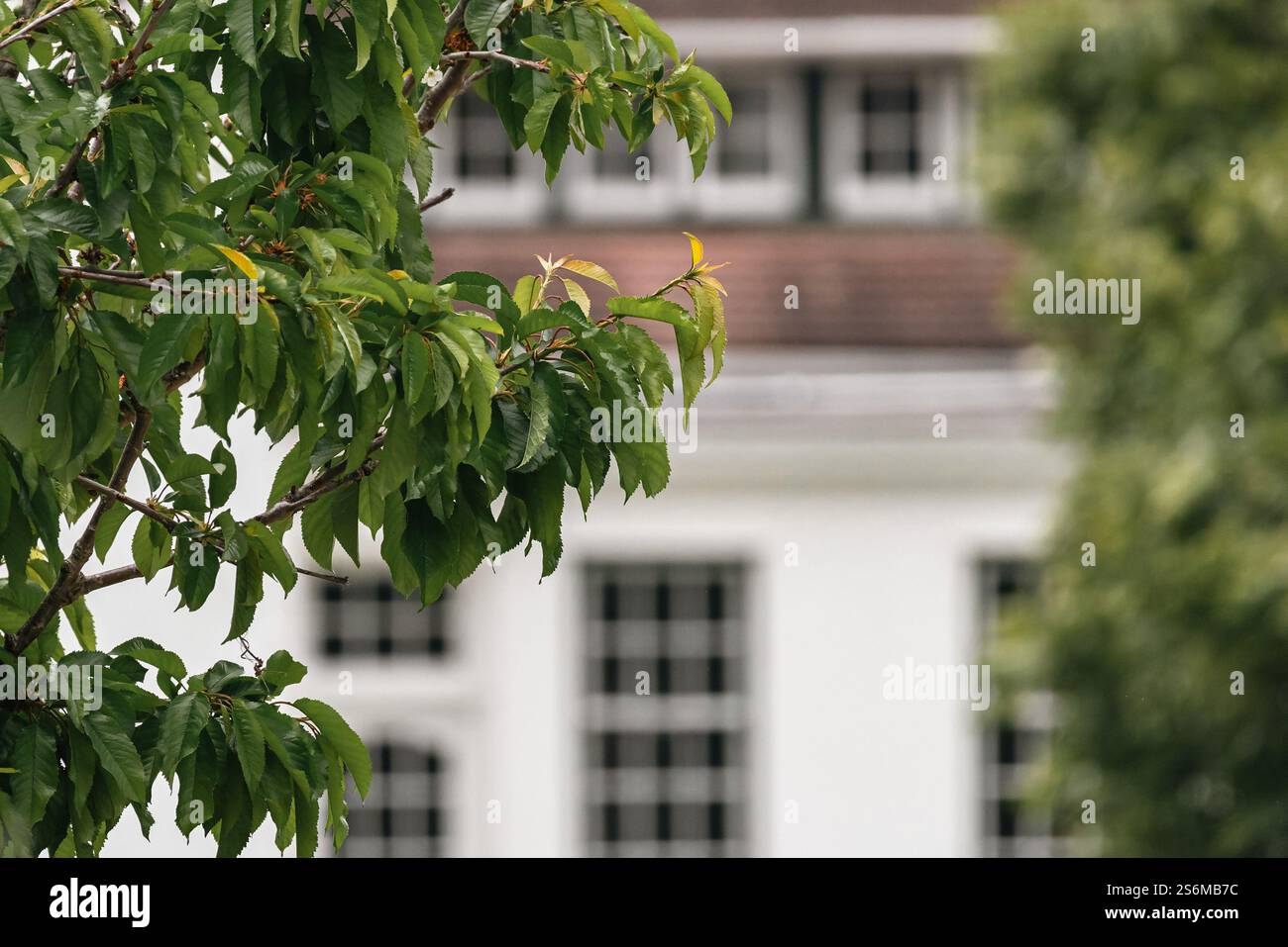 Residential building is partially obscured by lush green foliage. White ...